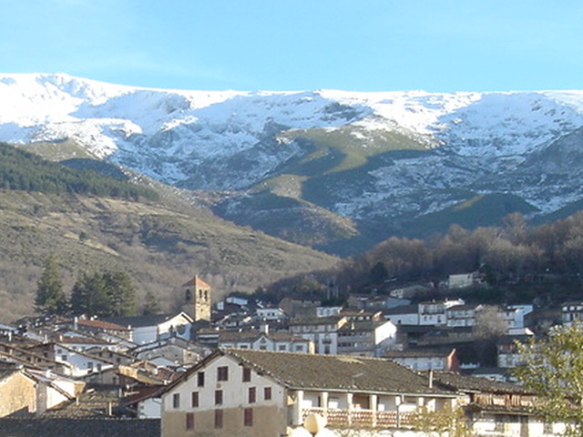 Candelario | Calvitero